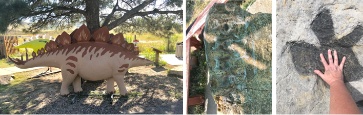 Adventures In Storytime (and Beyond): Paleontology - Hybrid STEM Program