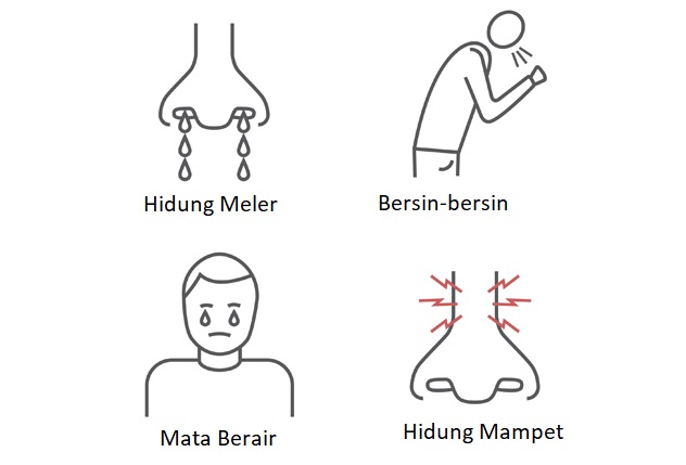 Mengatasi Rinitis Akut Secara Mudah dan Tepat - Mengatasi Bersin Blog
