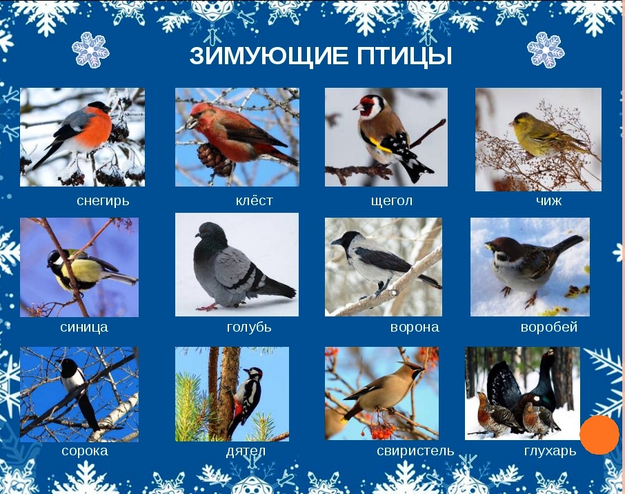 Методические рекомендации