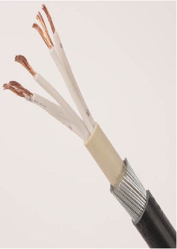 david 3816: Auto Gate