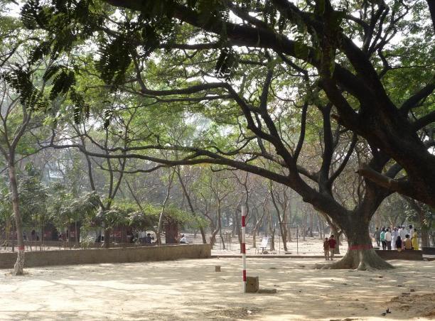Beautiful Bangladesh: Dhanmondi Lake : A Beauty In The Dhaka Metro