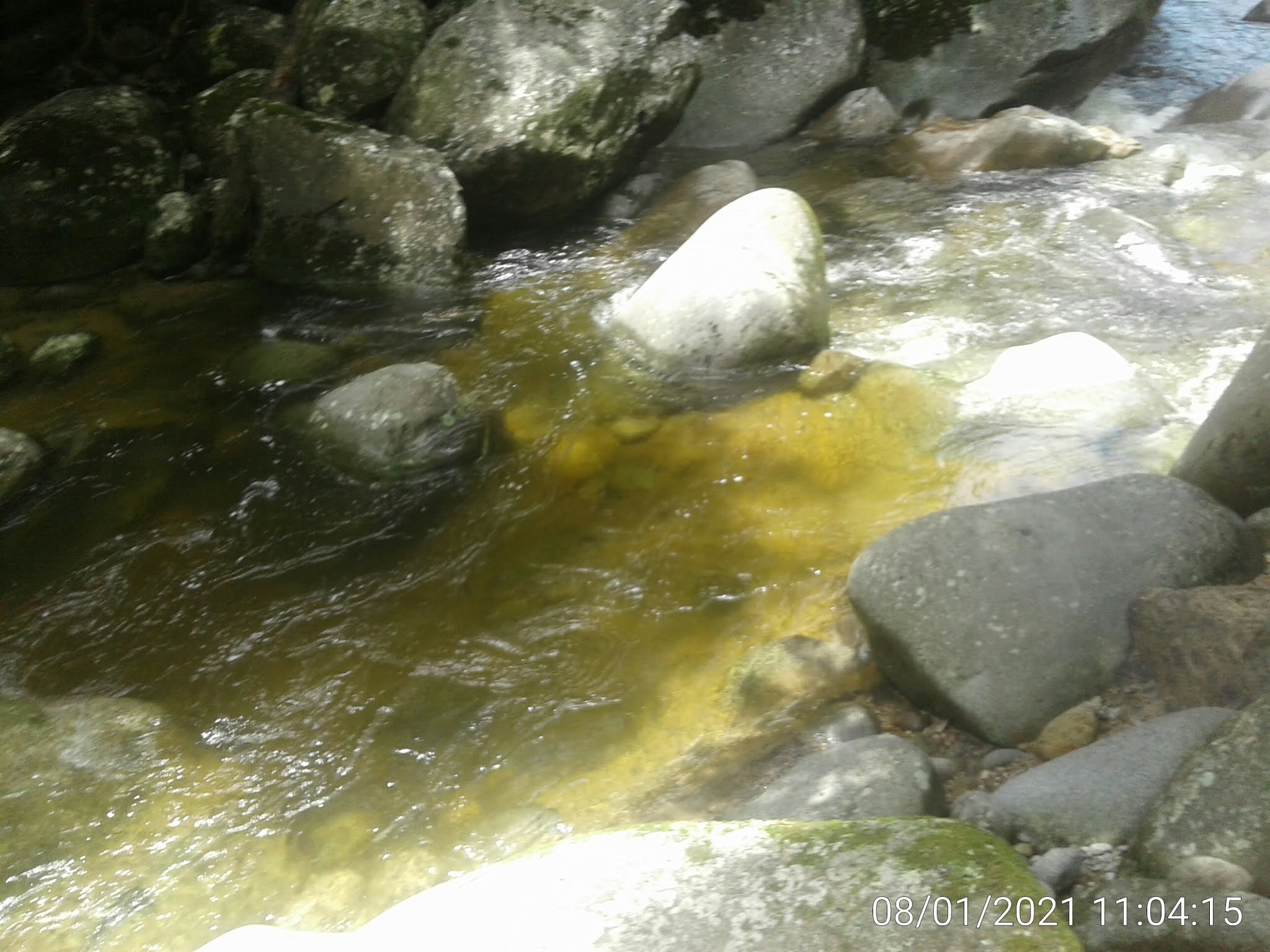 Carioca que ama o Brasil e estado do Rio de Janeiro. Valorizando sua ...