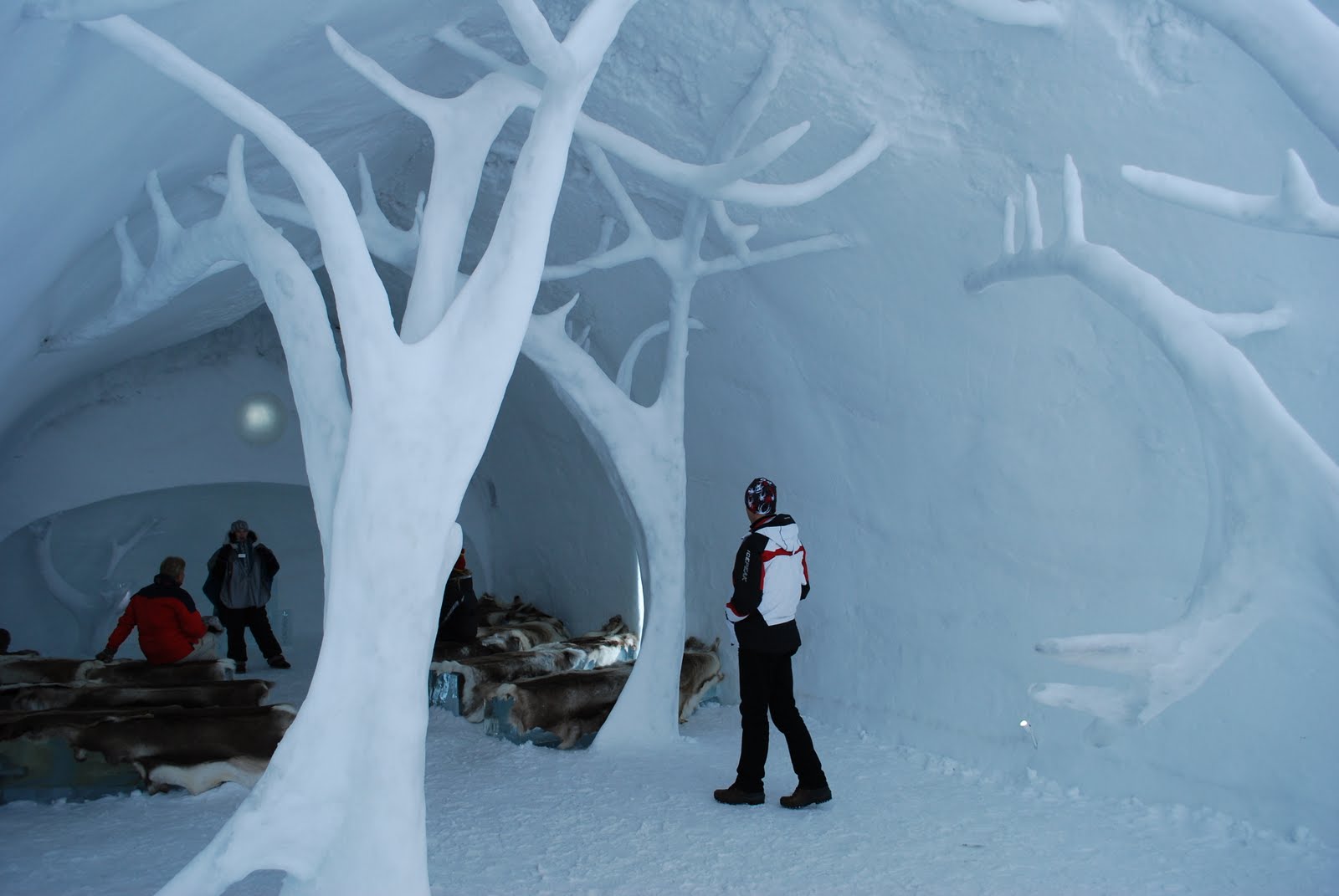 Posted by captain tarek dreams at 4:59 PM