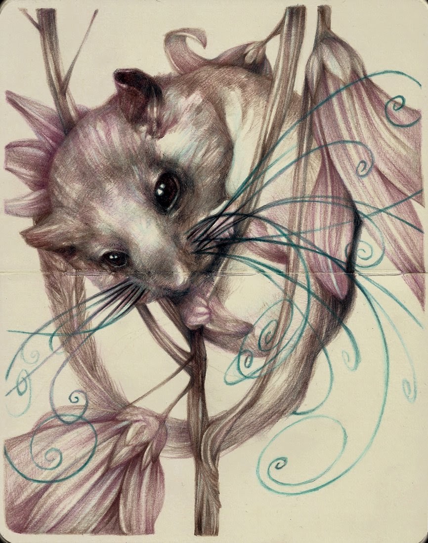 Design Stack: A Blog about Art, Design and Architecture: Surreal Animal ...