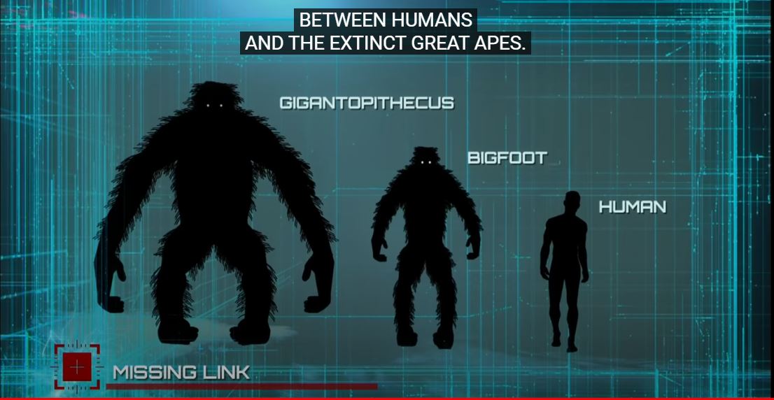 RMSO Bigfoot: Tracking Down Sasquatch in Minnesota Full Documentary
