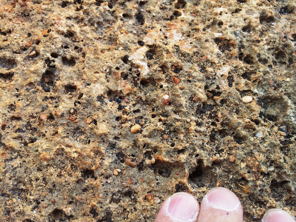 La molasa de Montesa. Una historia del Neógeno : Aventuras geológicas ...