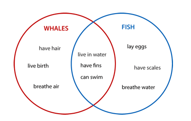 Nuestras clases: SCIENCE. Compare and contrast.