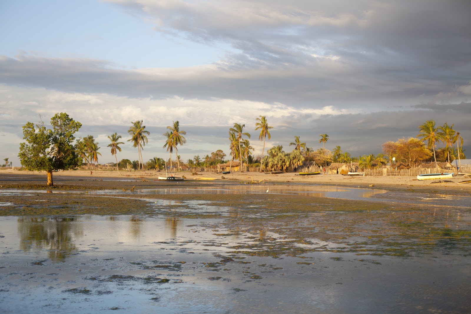 Portraits of the Planet: Madagascar: Belo sur Mer and Kirindy Metea ...