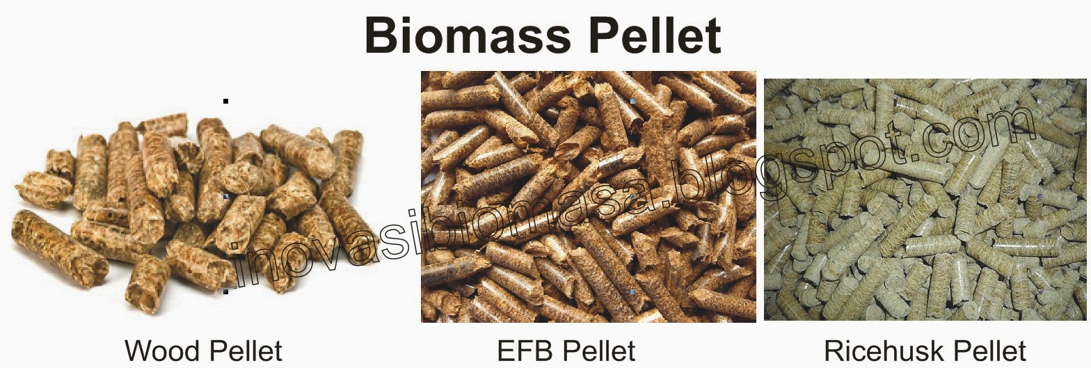 Biomass Industrial Innovative Projects: EFB Pellets Great Potential in ...