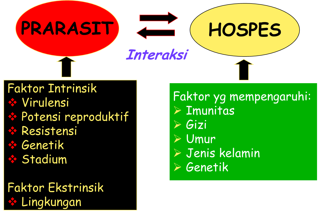 Kesehatan Lingkungan: Parasitologi Kesehatan