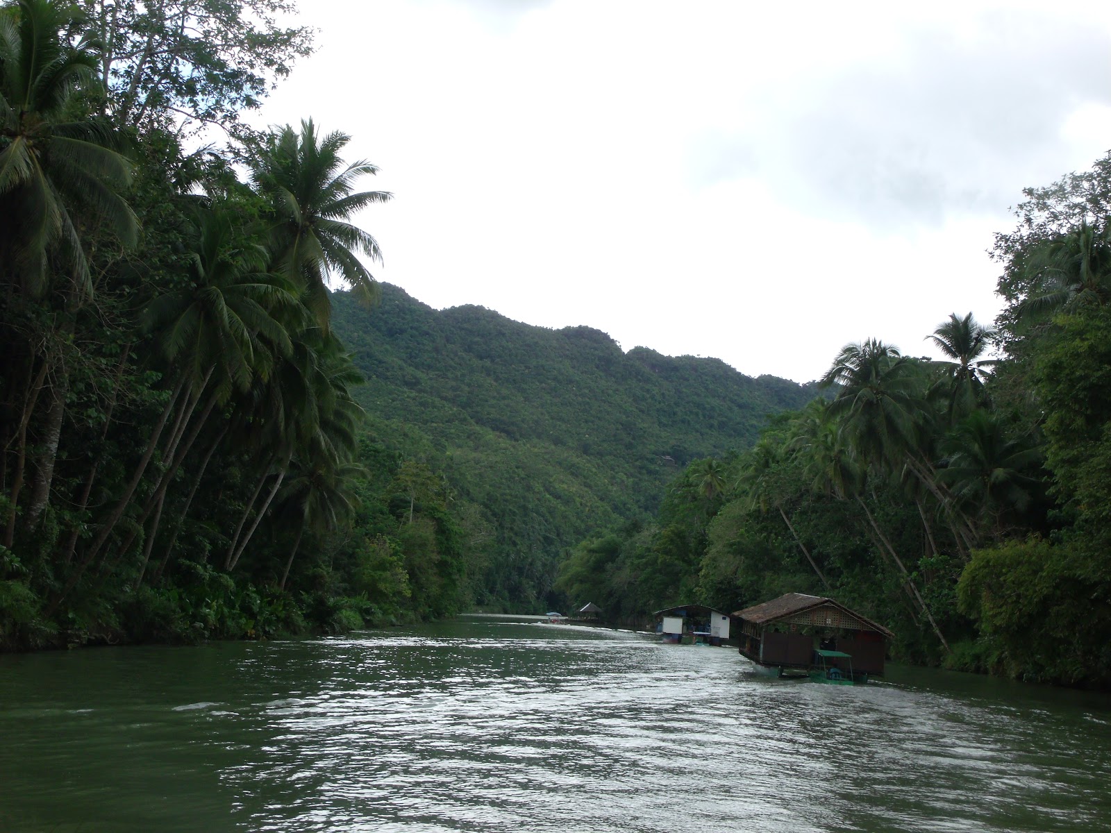 Lakwatserong Opis Worker: Buhol-Buhol sa Bohol The last part