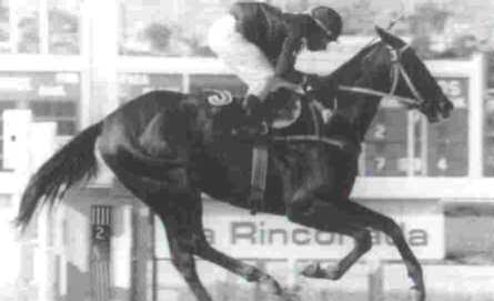 #Hipismo | Trinycarol, Ristre y Tajoreal protagonizaron una de la más ...