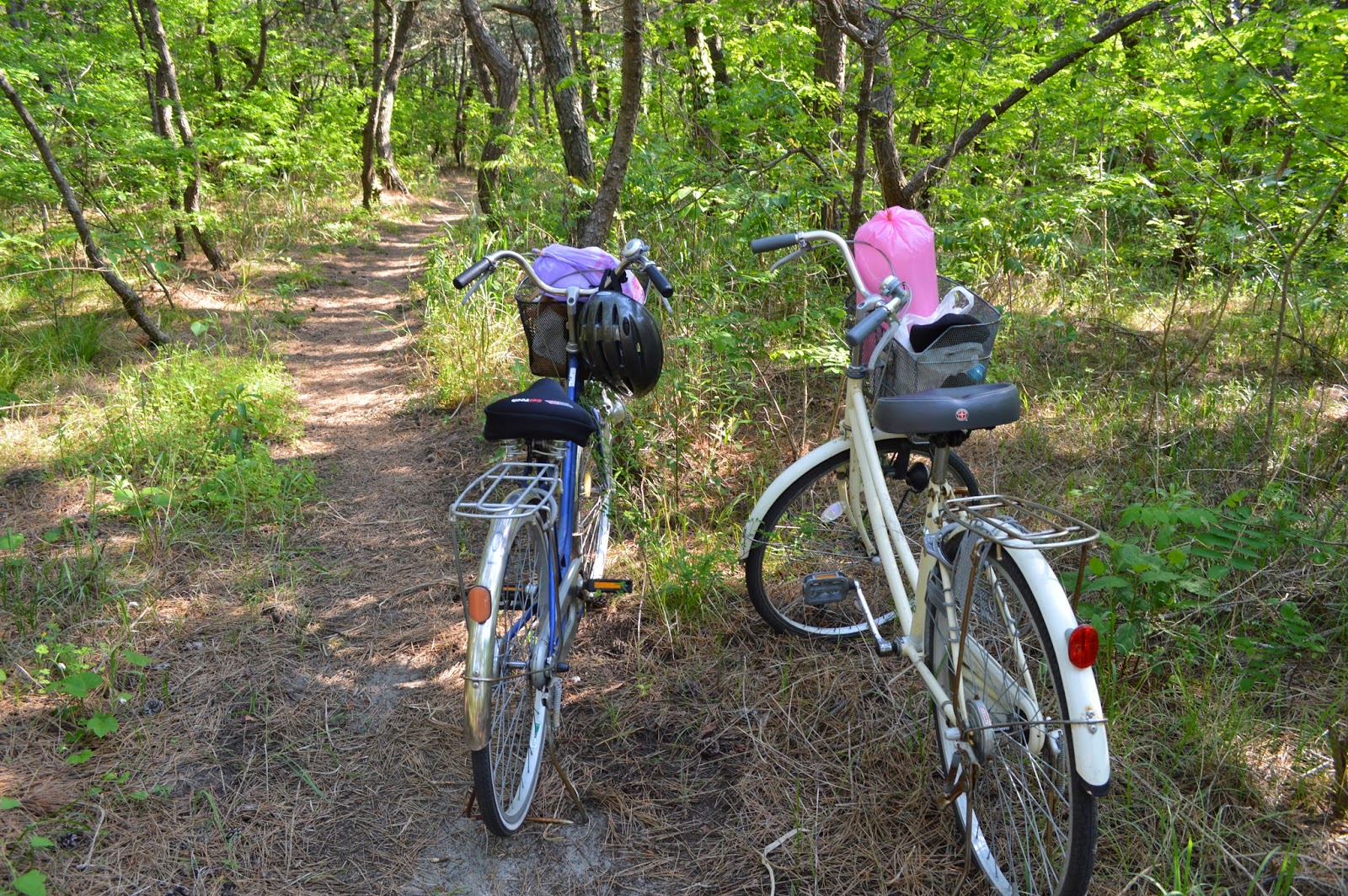 Golden Week Part Two: Biking to the Kite Festival ~ Jenna in Japan