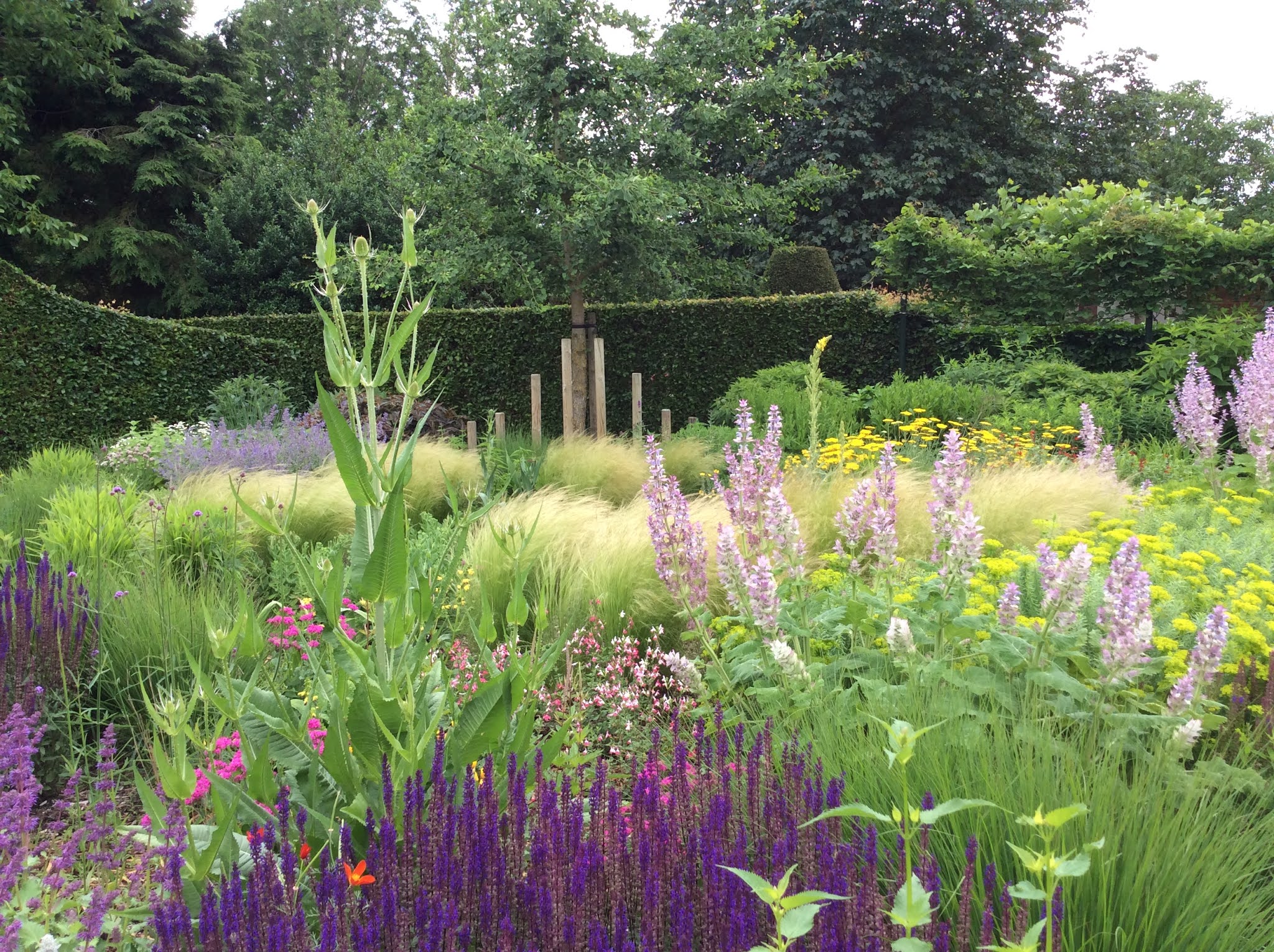 Hoe verwerk je siergras in je border?