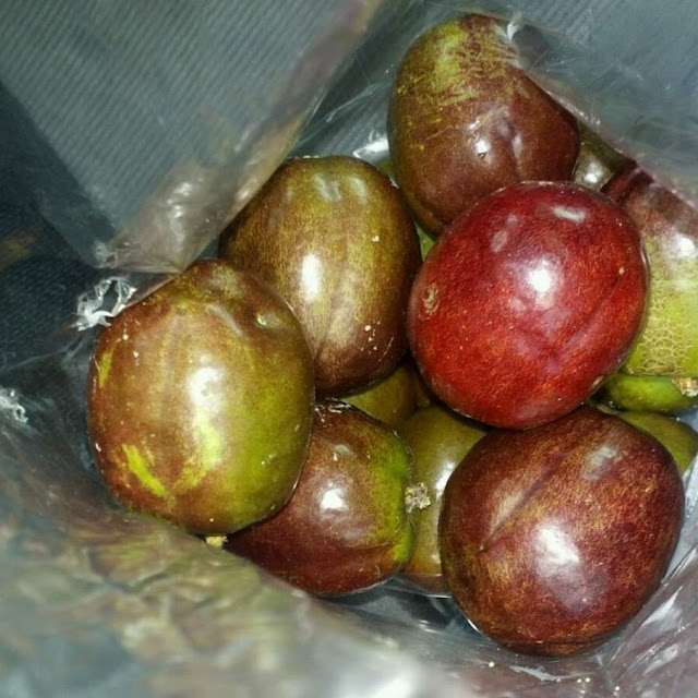 Fruit of the Day: Sarguelas