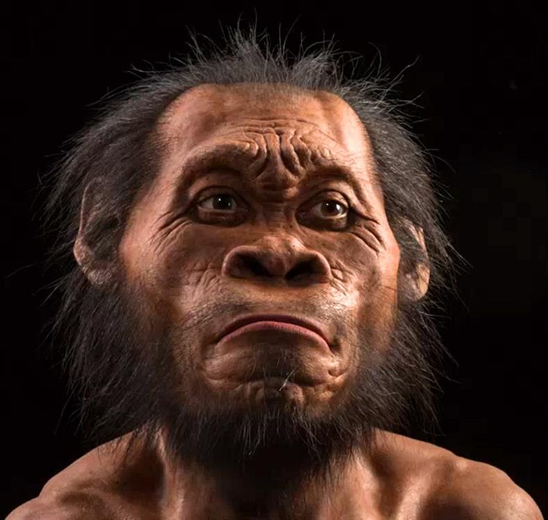 Escenarios prehistóricos: Homo naledi