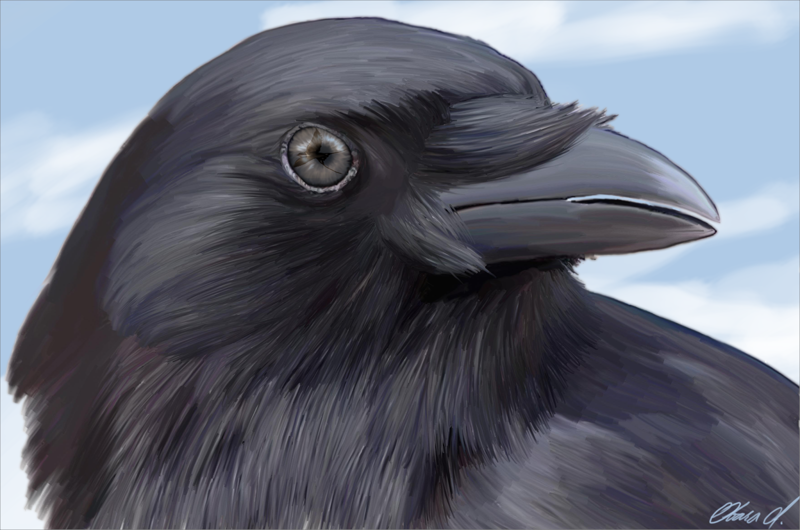 The Raven Reference Images