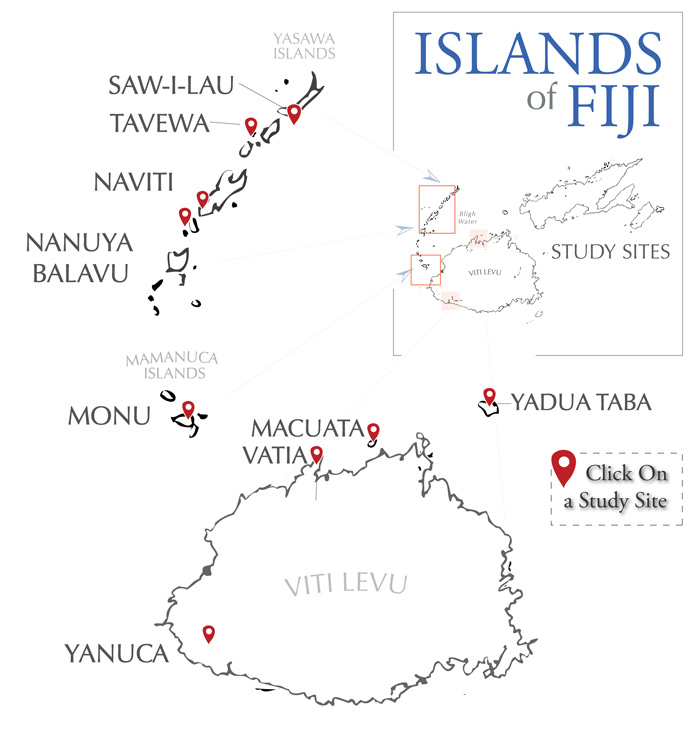 South Pacific Islands Forests