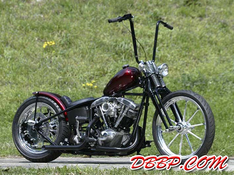 June Softly ~ Biker Blog: SHOVELHEAD