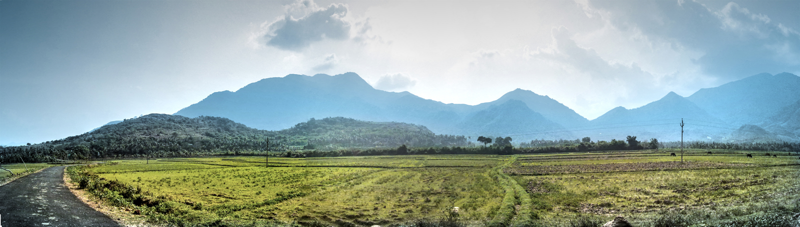 Tamilnadu Tourism: Adavinainar Dam, Sengottai, Thirunelveli