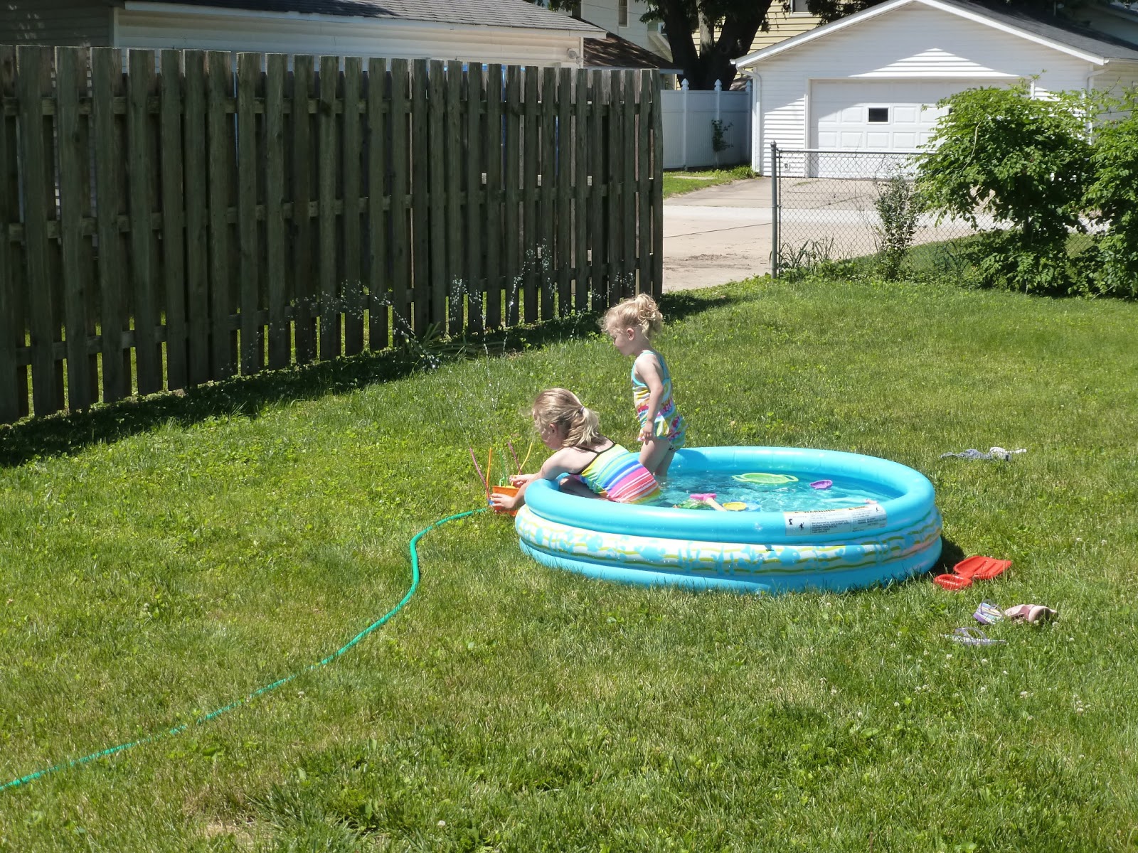 Isaacson Family: Backyard Pool