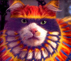 Cats and my Girl ...: Dye your Cat?