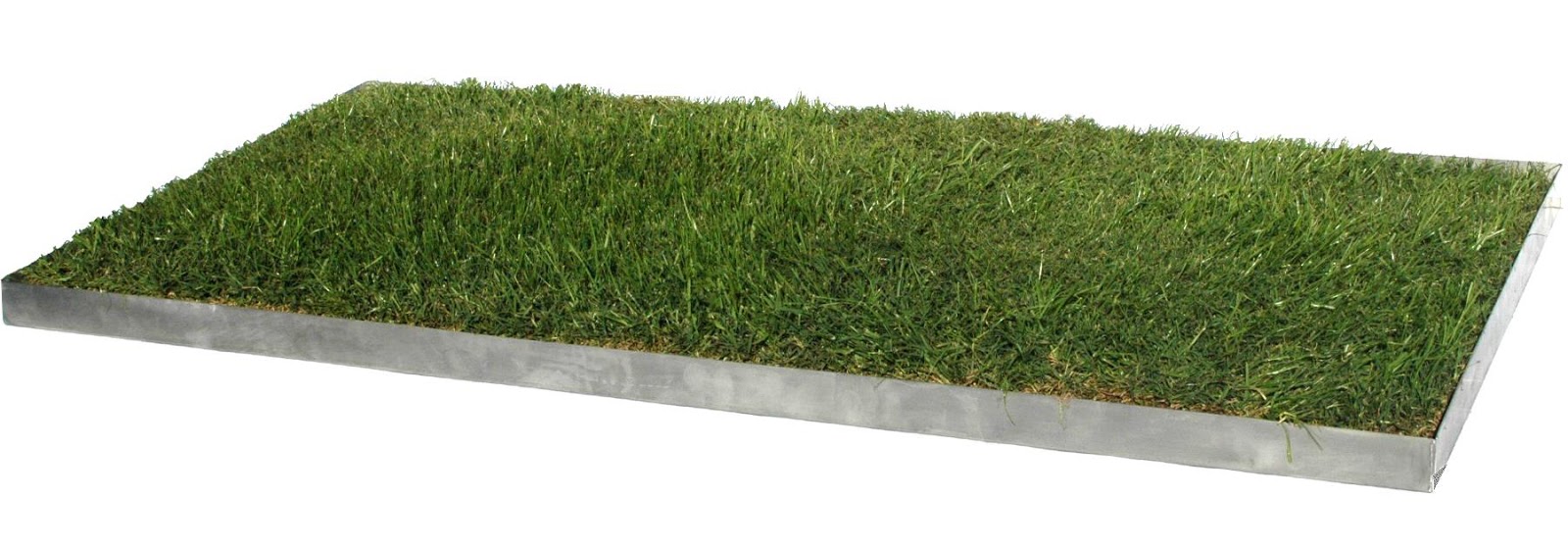 Fresh Patch - Real Grass Toilet Training