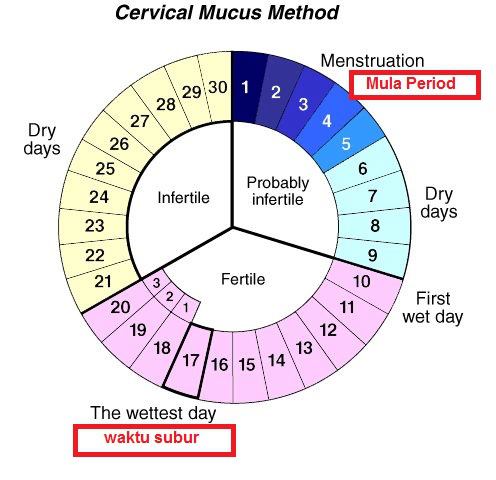 Kitaran Haid 21 Hari