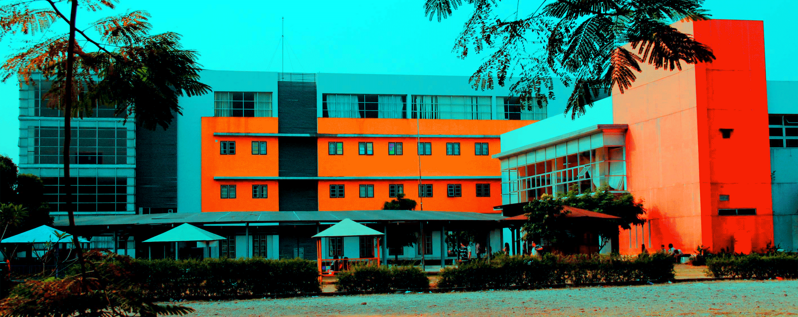 gsis-graphic-design-subject-senior-motion-animation
