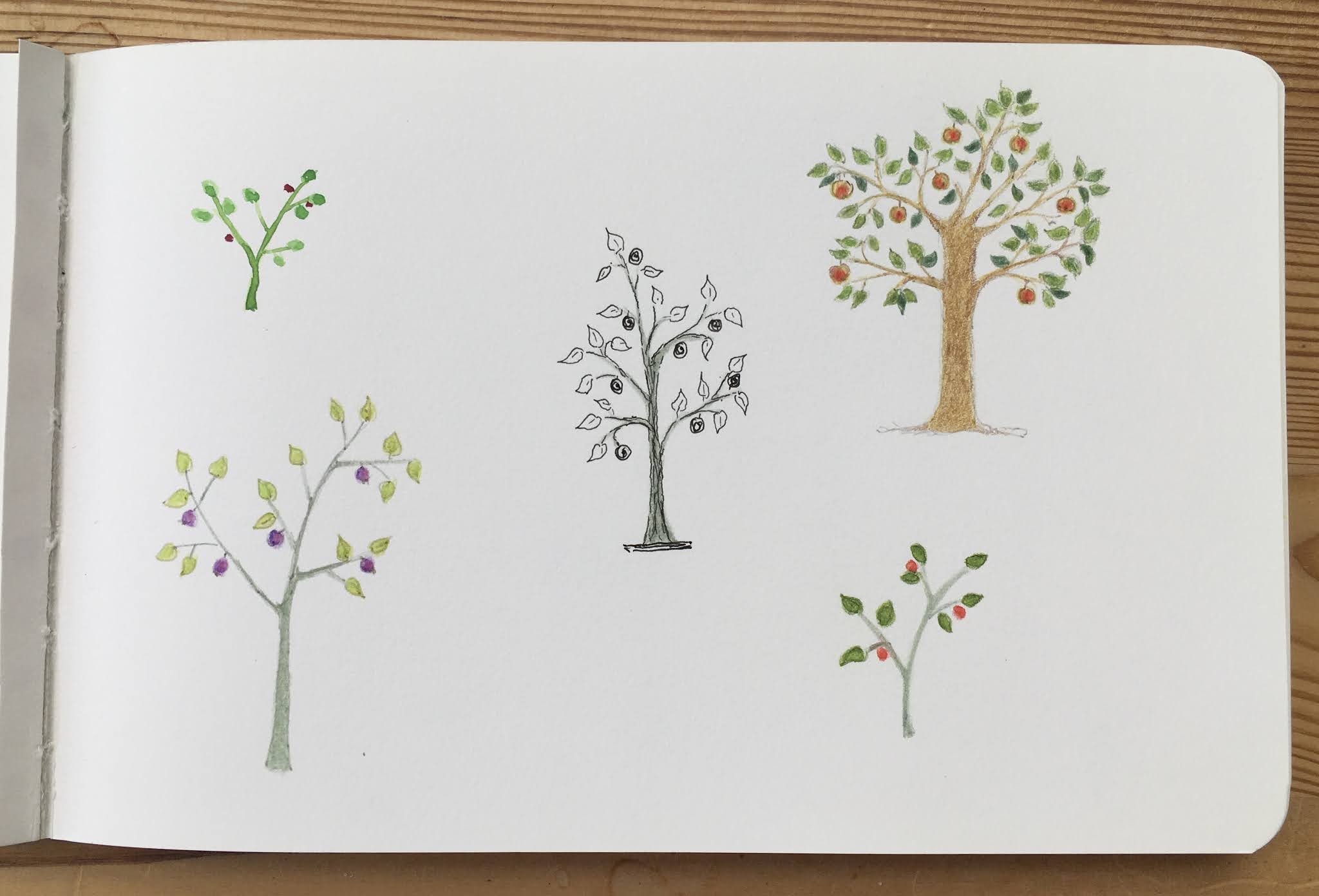 Apfelbaum mit leckeren, saftigen, aromatischen Früchten