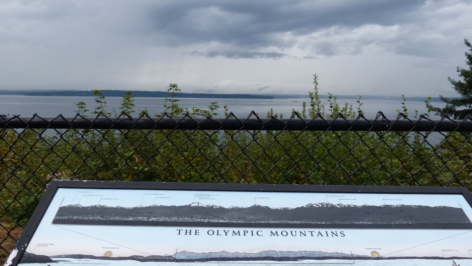 Ray's Retirement: Seattle - the fish ladder