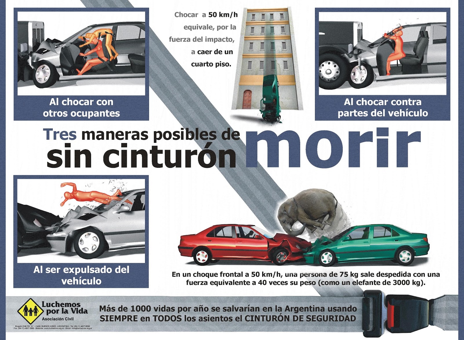 EMS SOLUTIONS INTERNATIONAL marca registrada: CINTURÓN DE SEGURIDAD ...