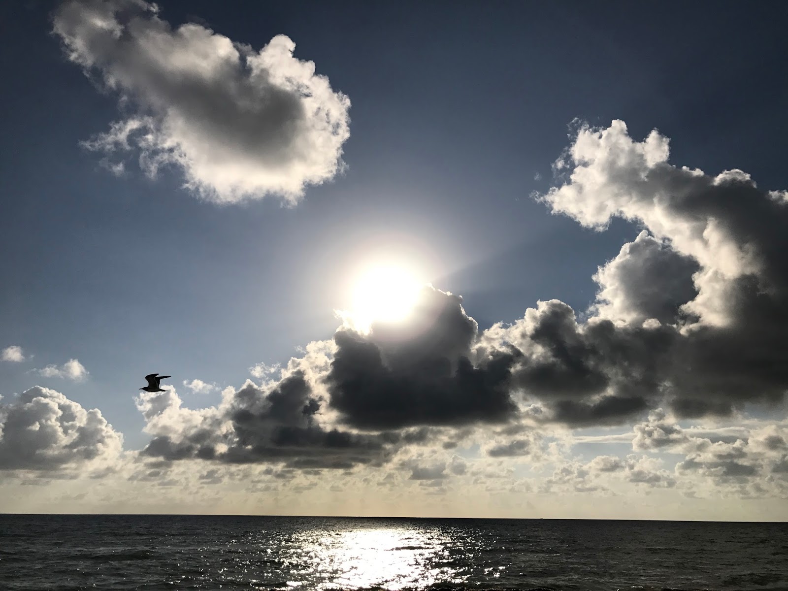 I love Miami. I hate Miami. | Thank You Miami | Miami Fashion, Food ...