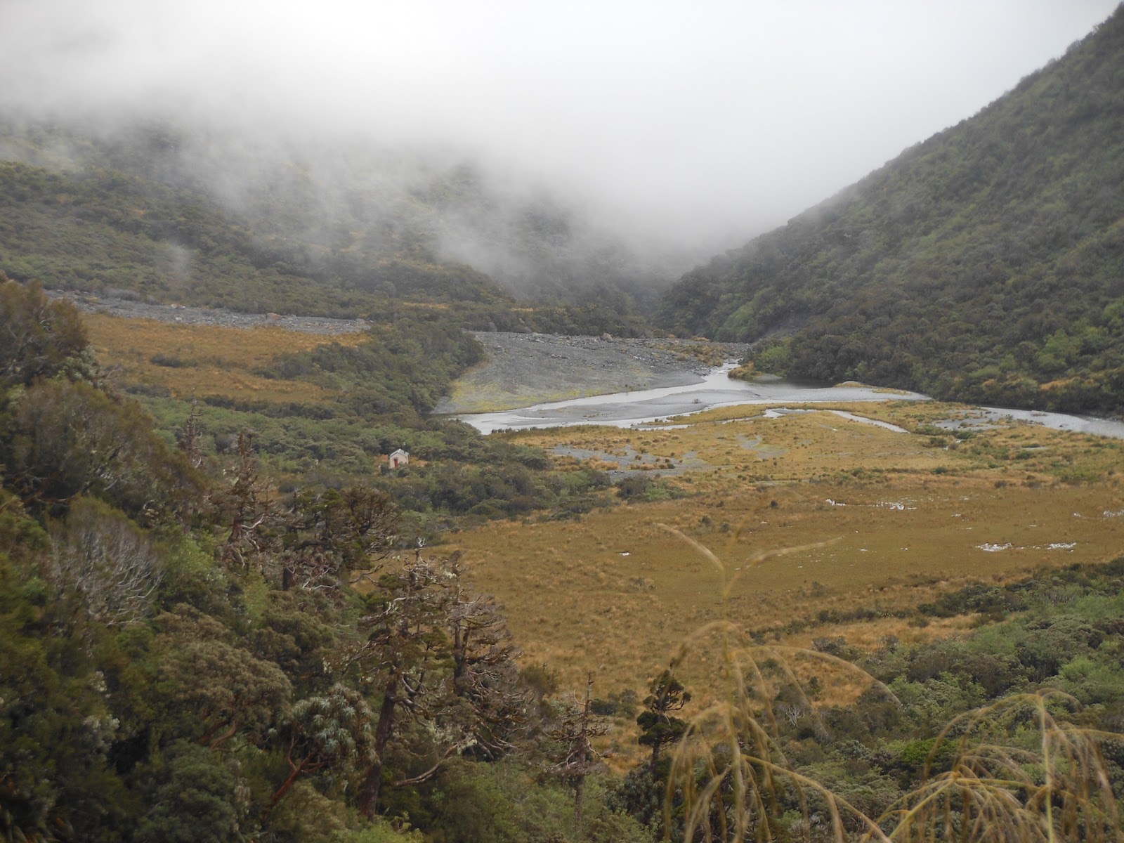 Tramping: Toaroha, Hokitika, Lower Whitcombe Track and Sir Robert Hut