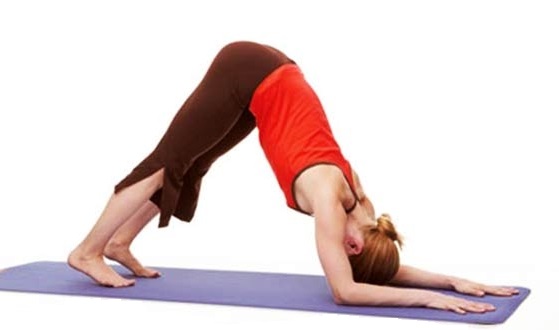 Yo Practico Yoga: 3 Formas de Hacer la Postura del Delfín en Yoga ...