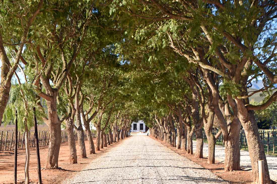 .: Robertson Wine Valley's Wacky Wine Weekend 4. De Wetshof