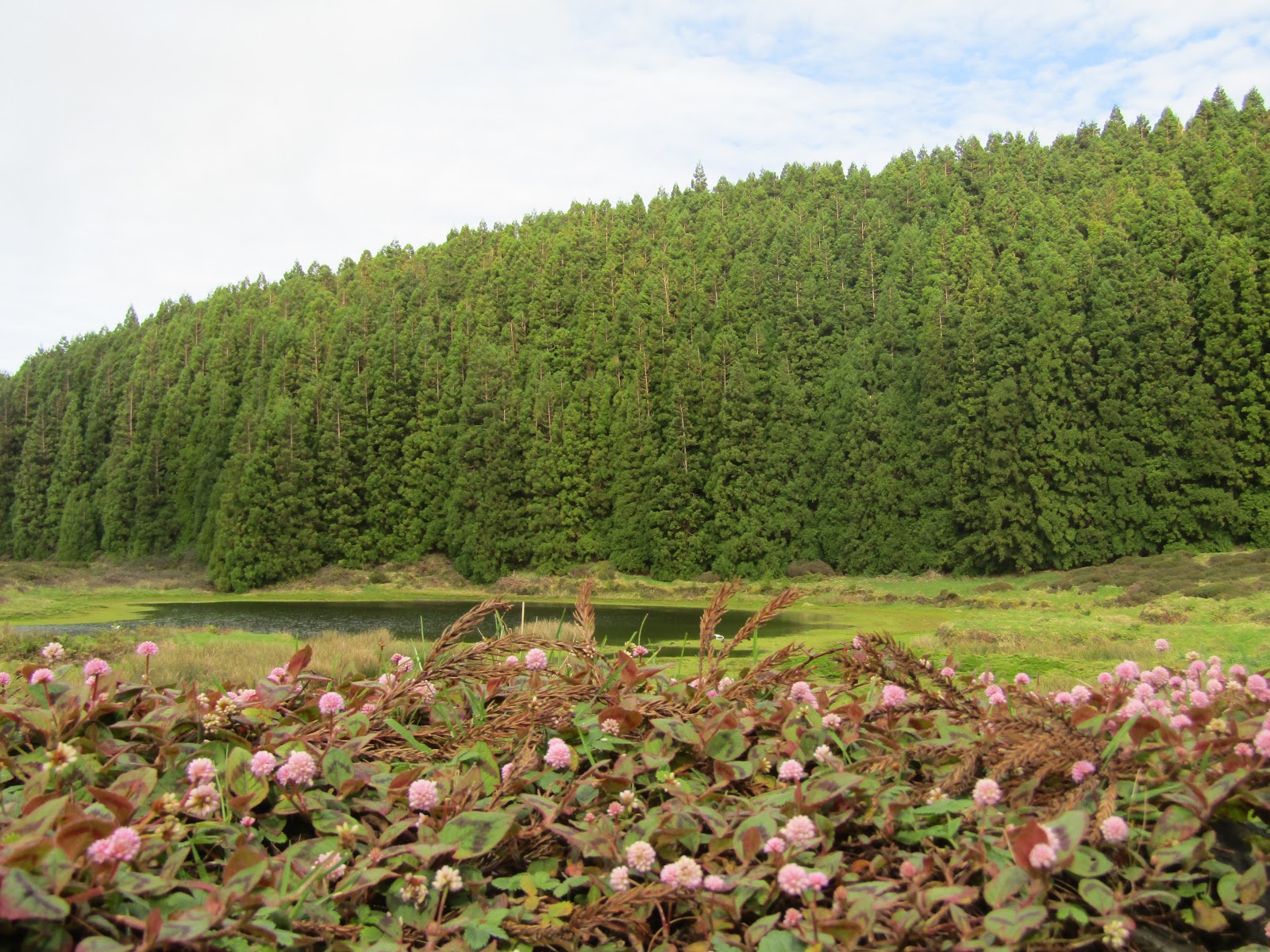 Ilha Terceira - Roteiro para 3 dias