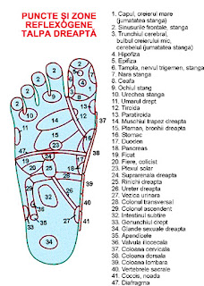 N/A Zone: reflexoterapie