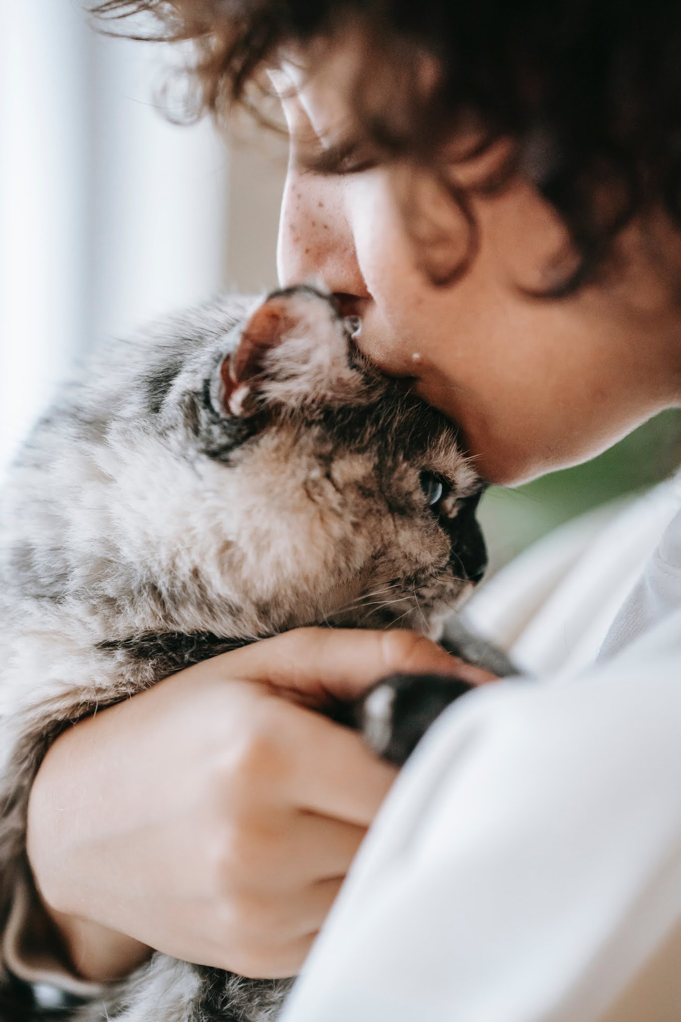 Five Things That Matter When You Are Learning Cat-Human Relationships.
