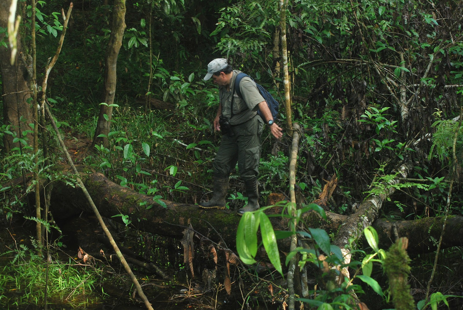 Jan Axel's Blog: Around Playa Guio