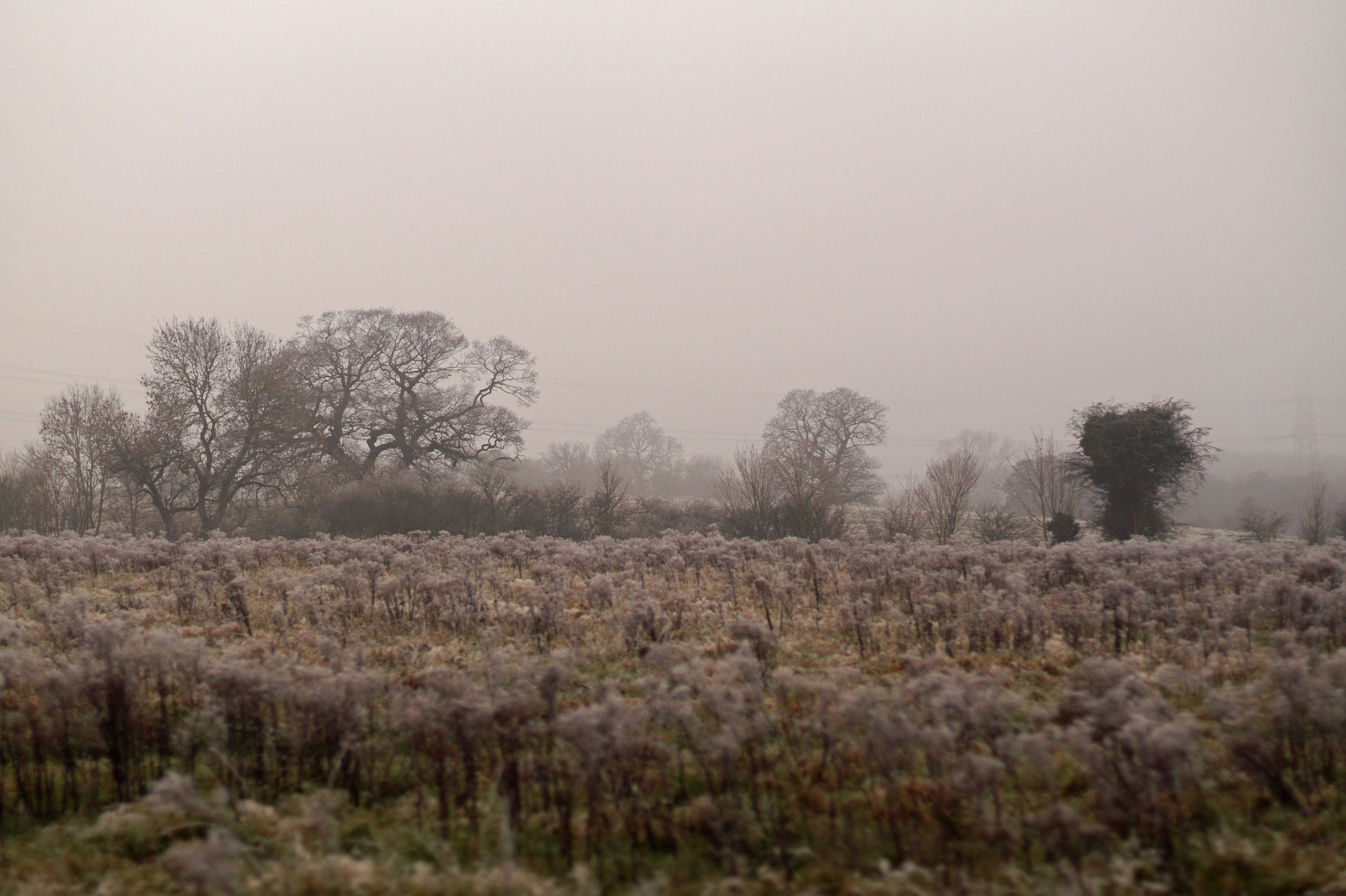 Frost pocket - Sophie in the Sticks
