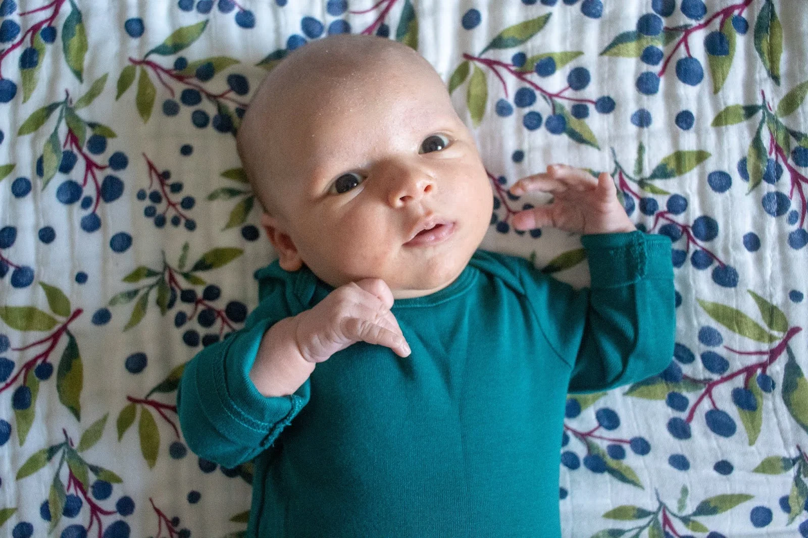 Protecting and Establishing Points of Reference -- Montessori Baby Week 4