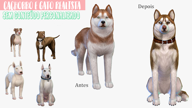 Pets Realistas - Sem Conteúdo Personalizado - Jenni Life Sims