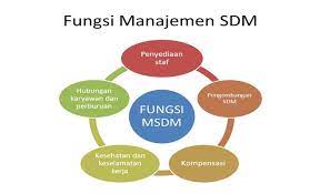MSDM : Fungsi MSDM