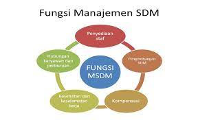 MSDM : Fungsi MSDM