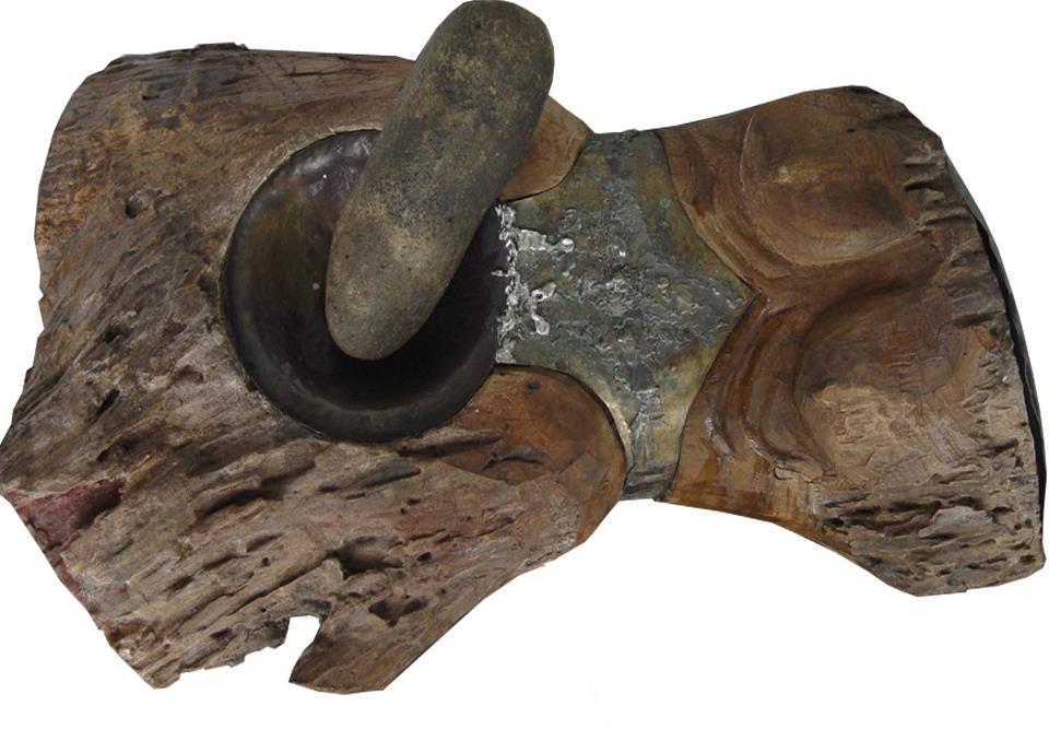 Museum Fosil Kayu Indonesia: FOSIL ISTIMEWA