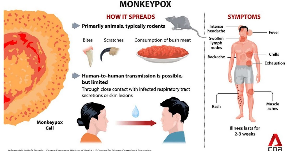 Monkeypox - an explainer | PT's IAS Academy