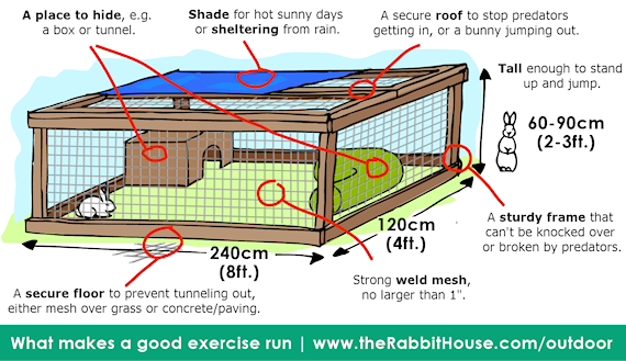 BuyRabbitHutch.com Blog: Do I Need a Rabbit Run?