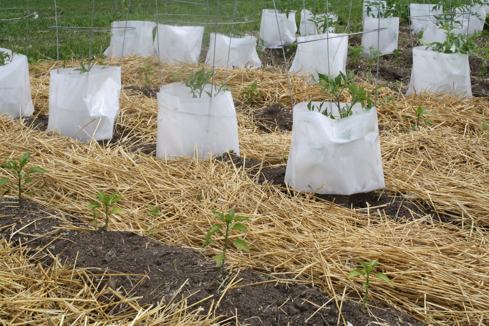 Her Peculiar Life: Moisture Control, Weed Barriers, Wind Barriers