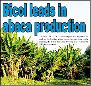 Bikol Reporter: Bicol leads in abaca production